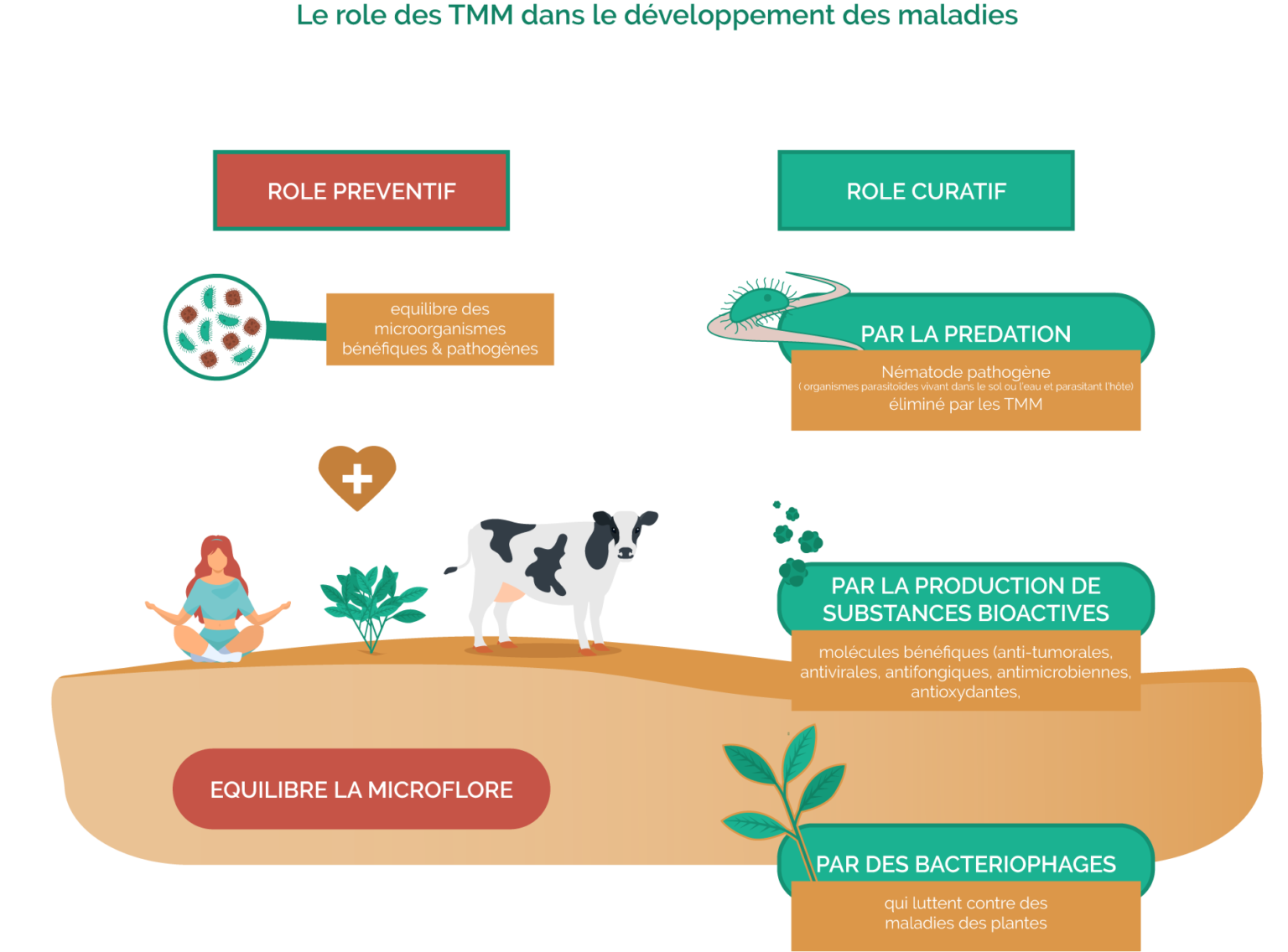 Accueil - Technologies Marcel Mezy